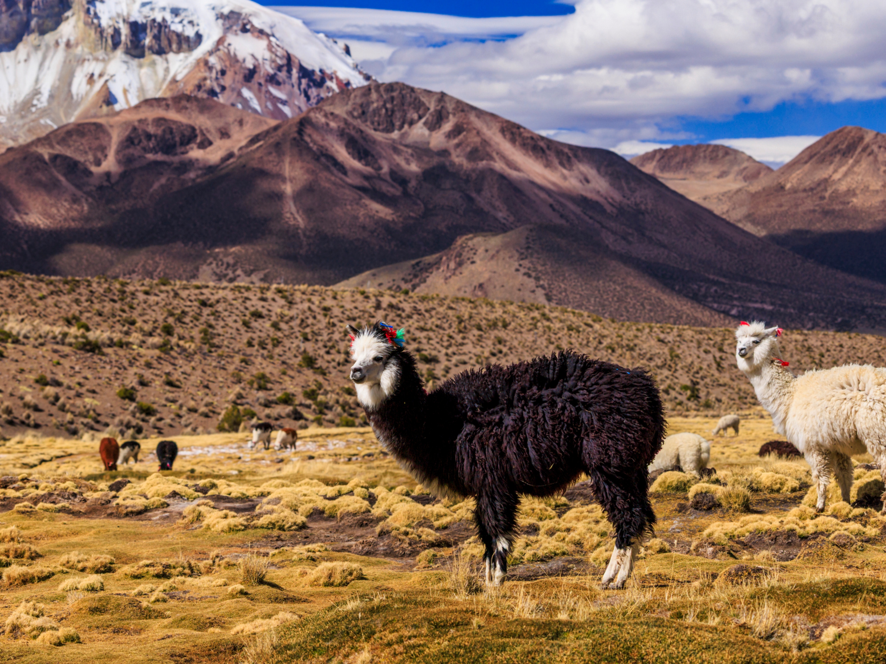 Bolivia Travel Advisory | Travel.State.gov