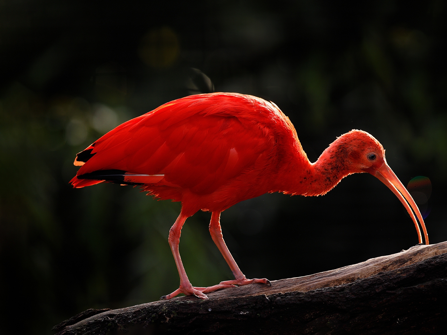 Trinidad and Tobago Travel Advisory | Travel.State.gov
